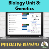 Genetics Homework Pages | Store - Science and Math with Mrs. Lau