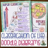 Classification of Life Doodle Diagram Notes | Store - Science and Math ...