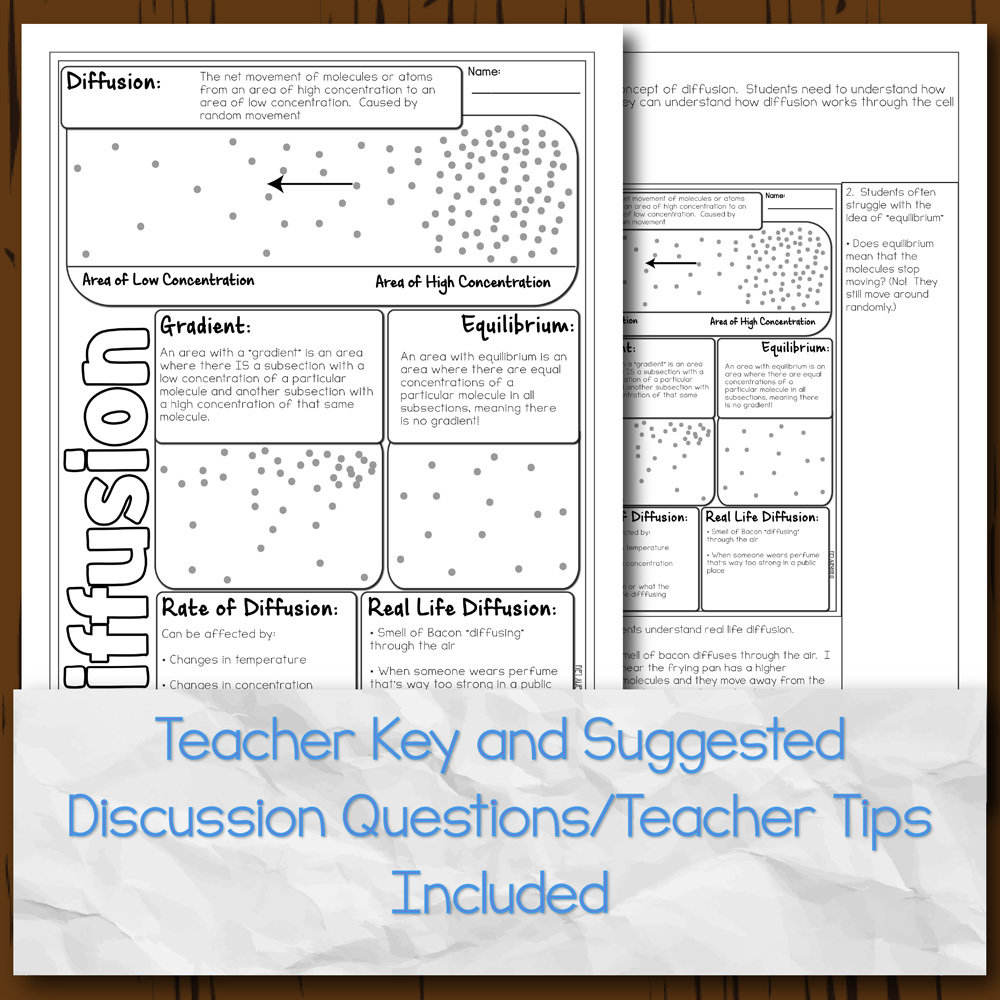 Diffusion Diagram Worksheet