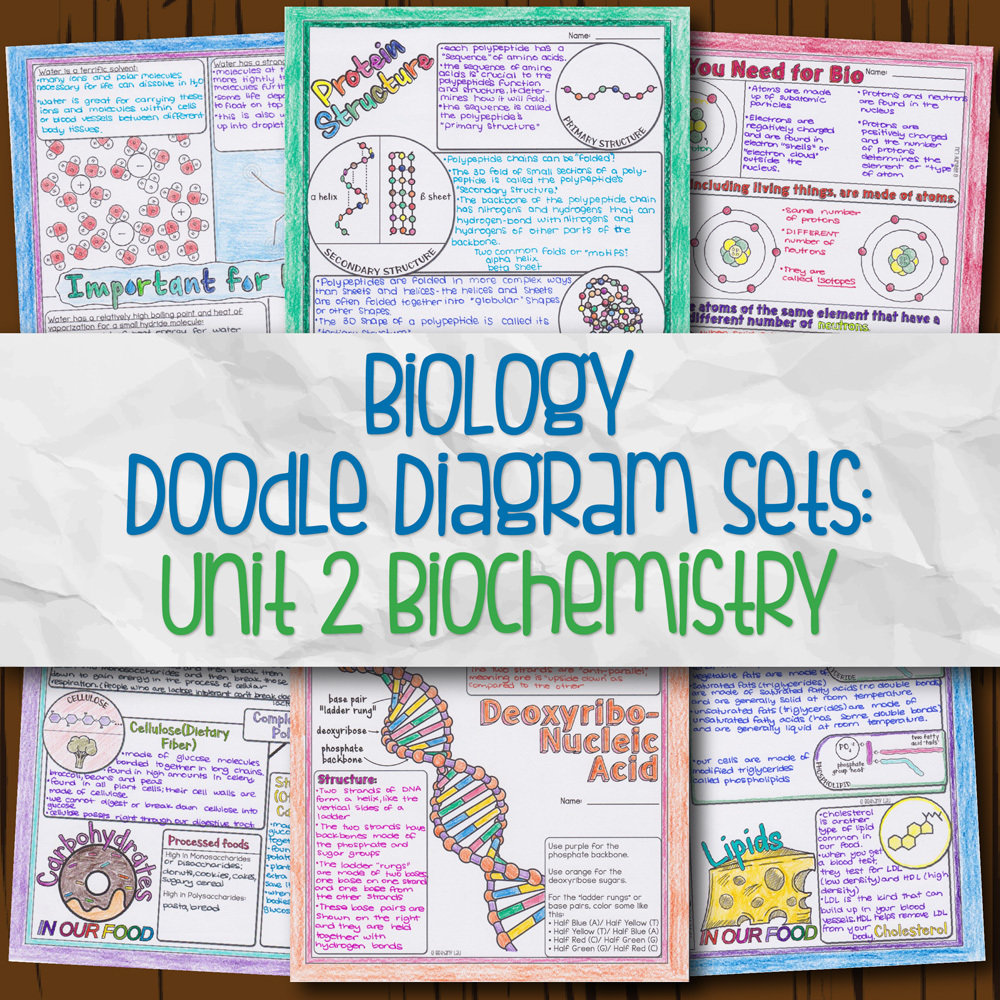 Unit 2: Biochemistry DD | Store - Science and Math with Mrs. Lau