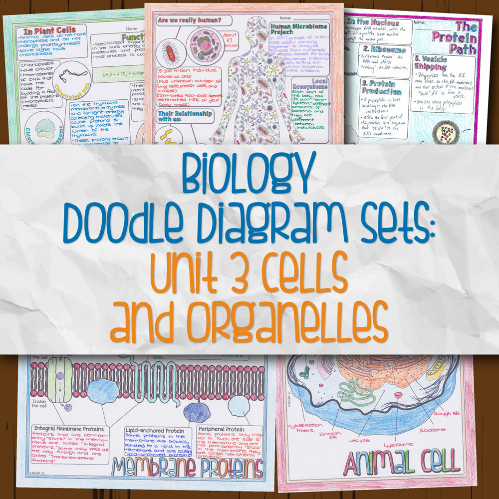 Unit 3: Cells and Organelles DD | Store - Science and Math with Mrs. Lau