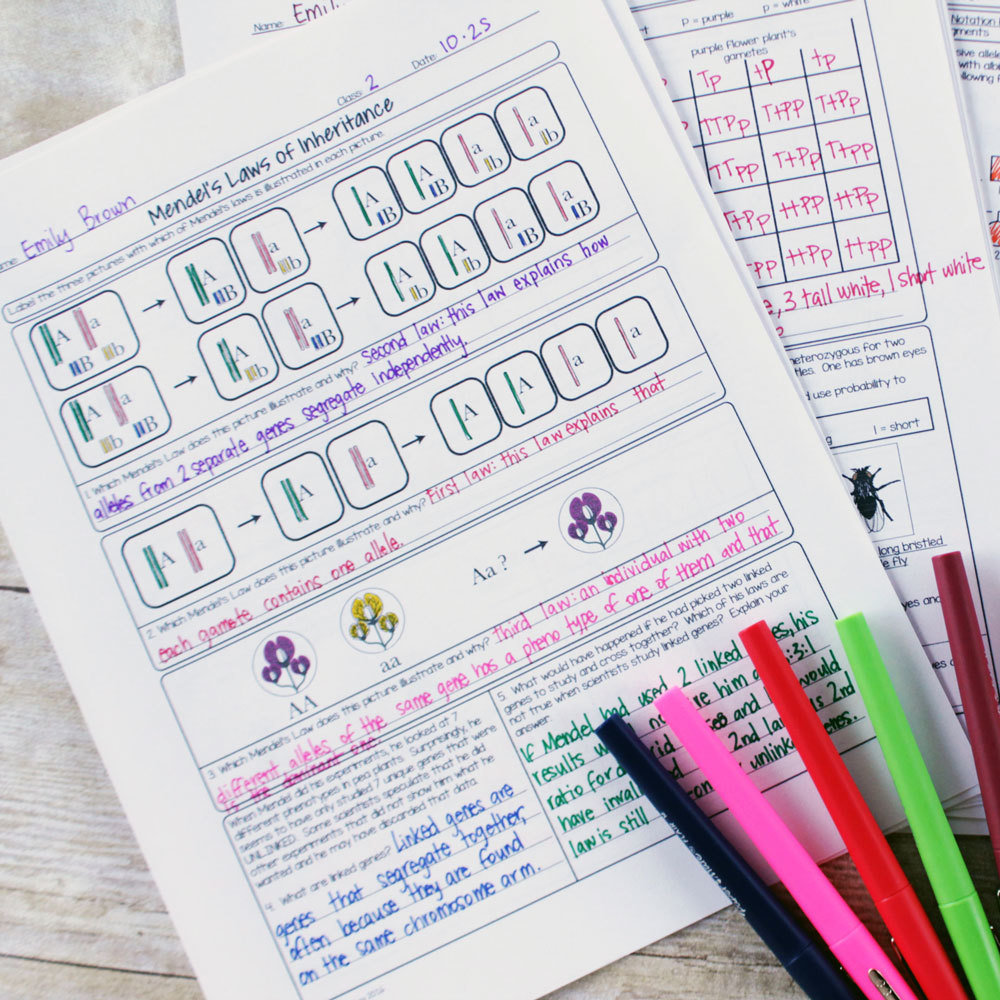 Biology Homework Unit Sets | Store - Science and Math with Mrs. Lau