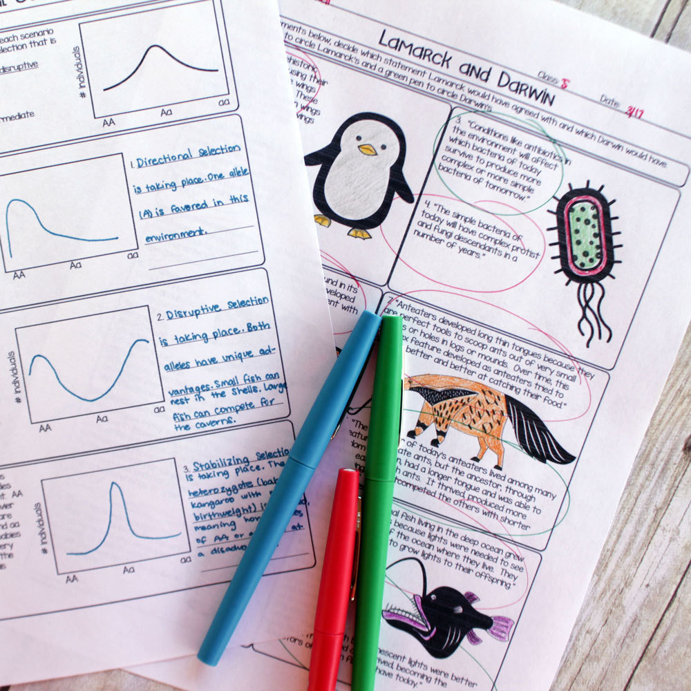 Unit 9: Evolution Resources | Store - Science and Math with Mrs. Lau