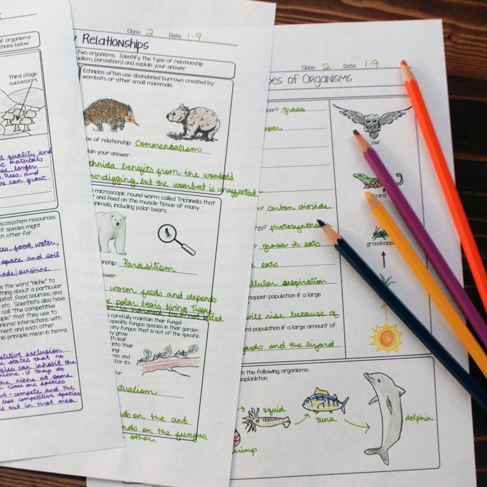 Unit 10: Ecology Resources | Store - Science and Math with Mrs. Lau