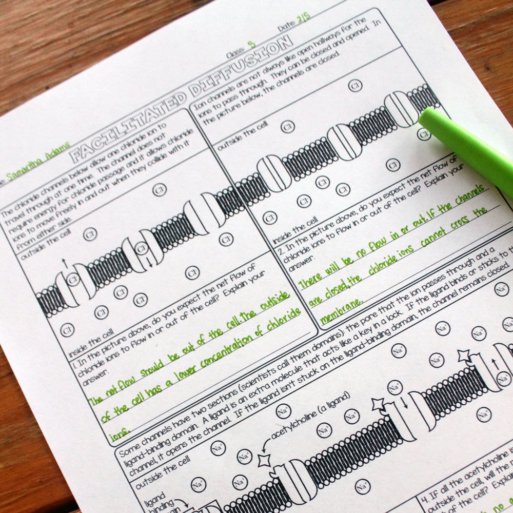 Unit 4: Cell Transport Resources | Store - Science and Math with Mrs. Lau