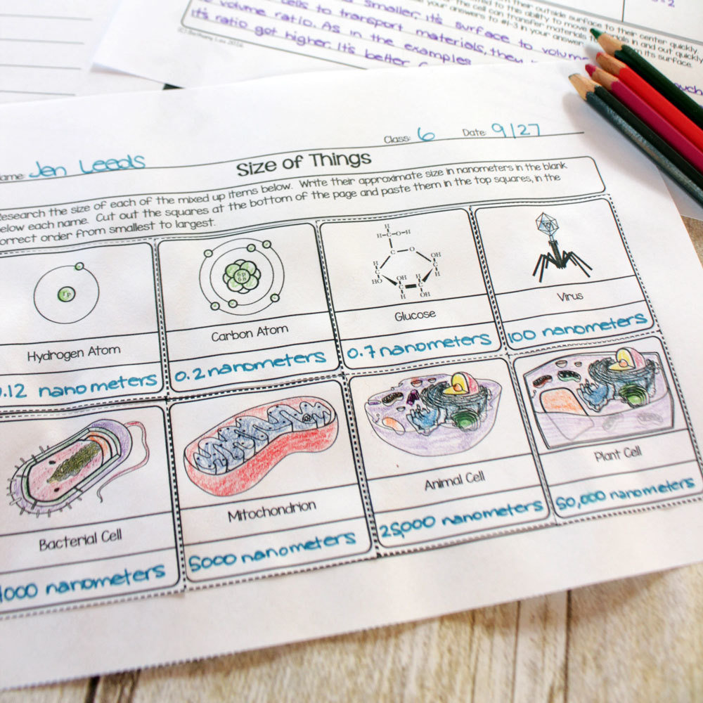 Unit 3: Cells and Organelles Resources | Store - Science and Math with ...