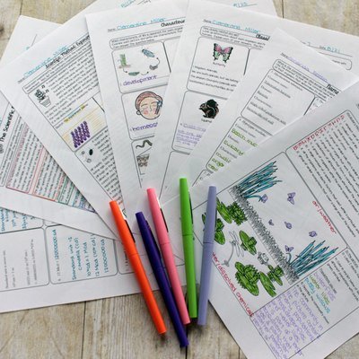 Store - Science and Math with Mrs. Lau