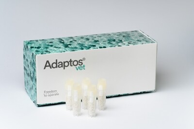 Veterinary Orthopedics Scandinavia