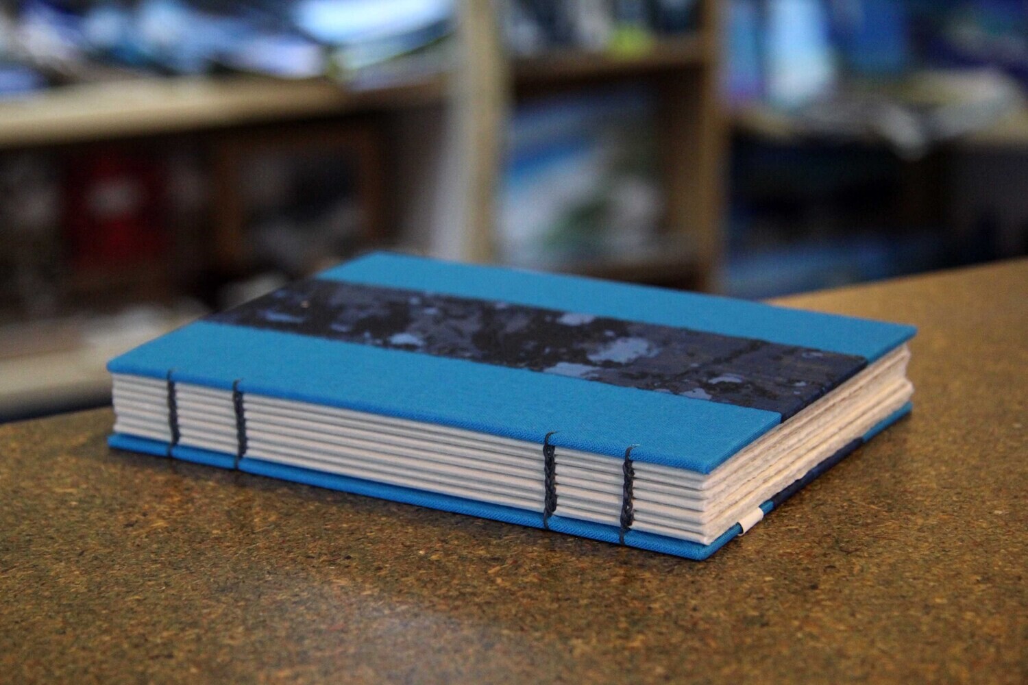 coptic book (hand bound)