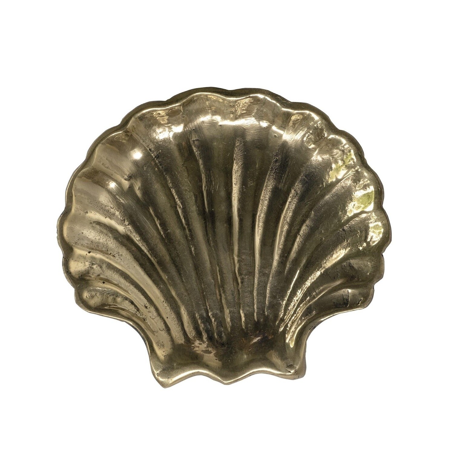 Brass Tray 6 (Shell)