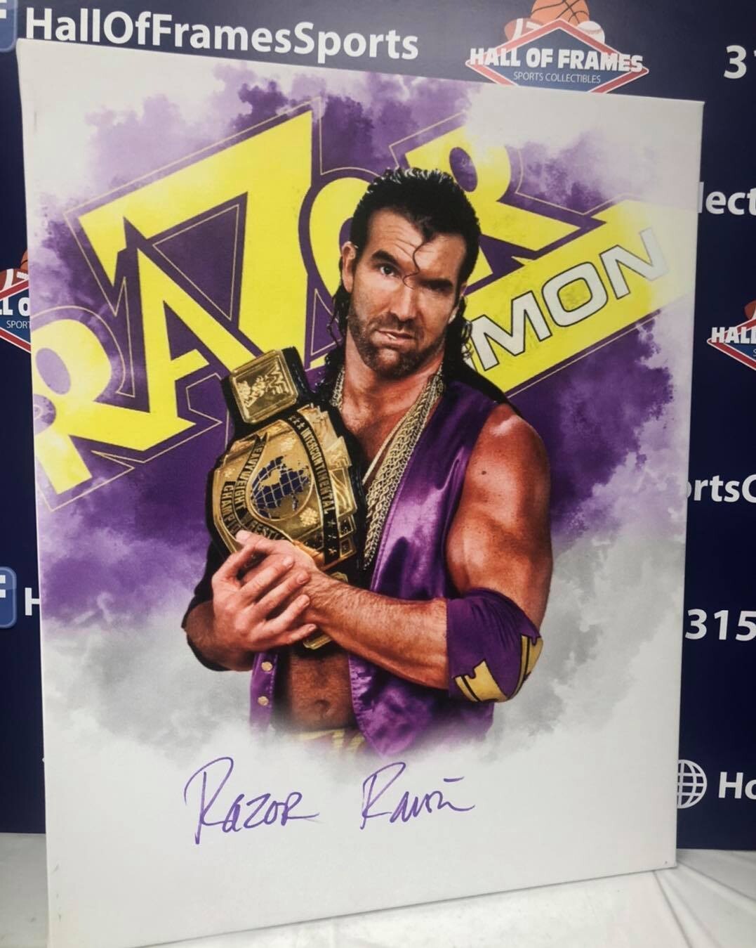 Razor Ramon Nwo