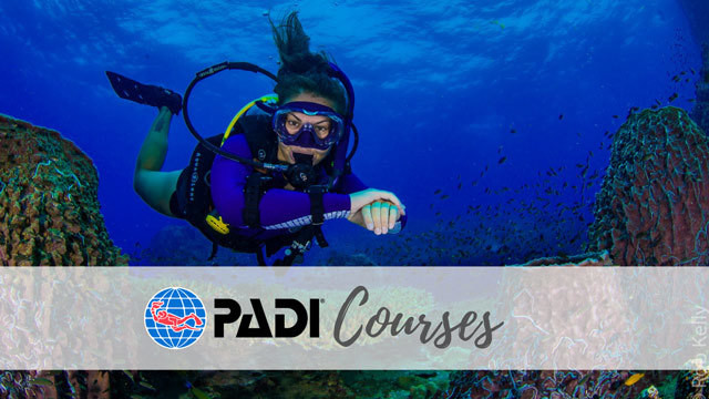 PADI Courses