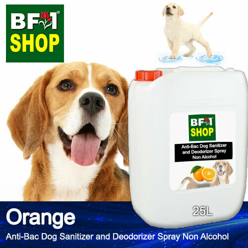 How Do You Deodorize A Puppy