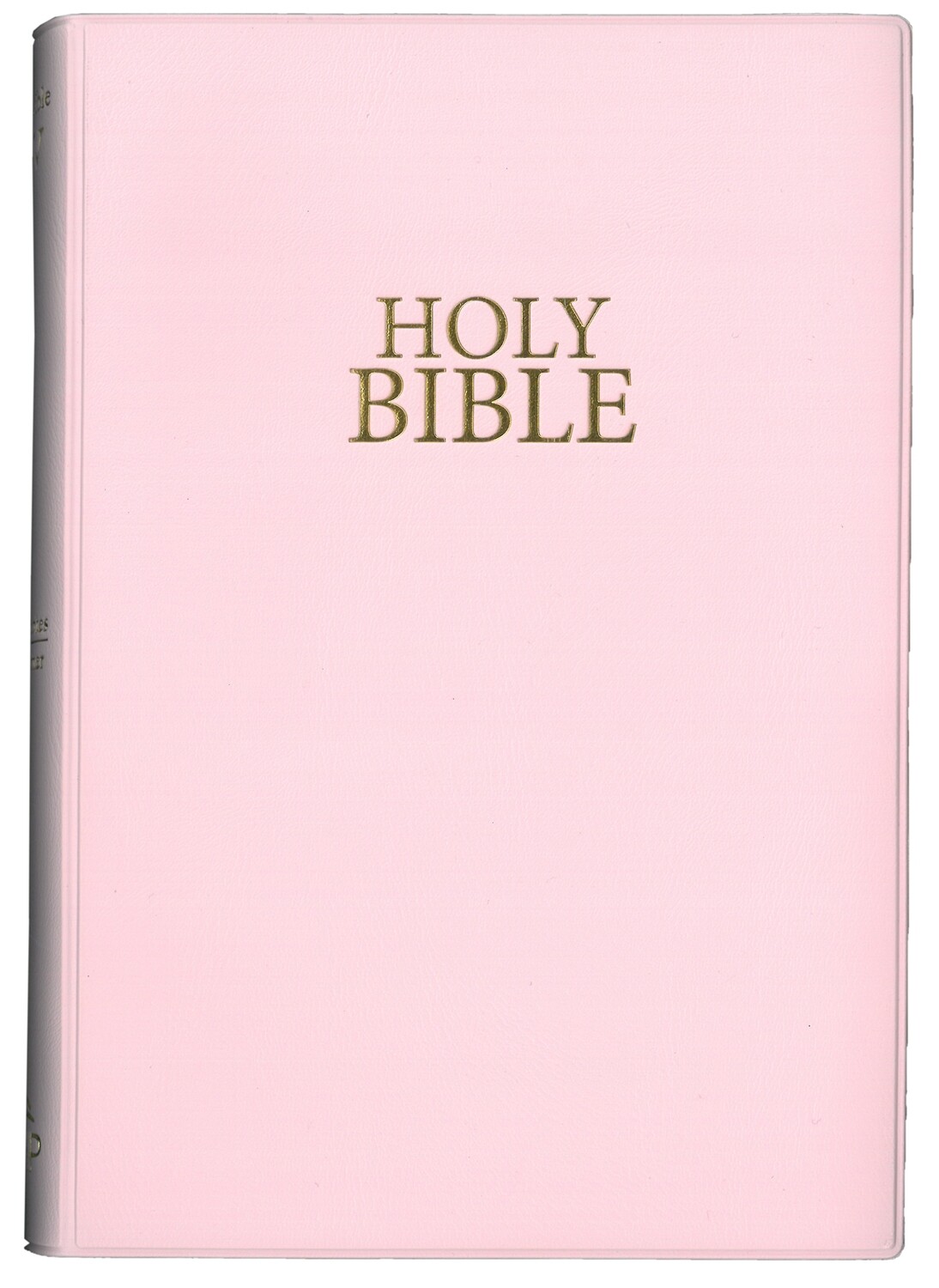FLORAL FLEXCOVER NIV BIBLE | Methbooks