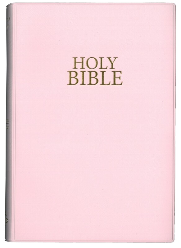 FLORAL FLEXCOVER NIV BIBLE | Methbooks