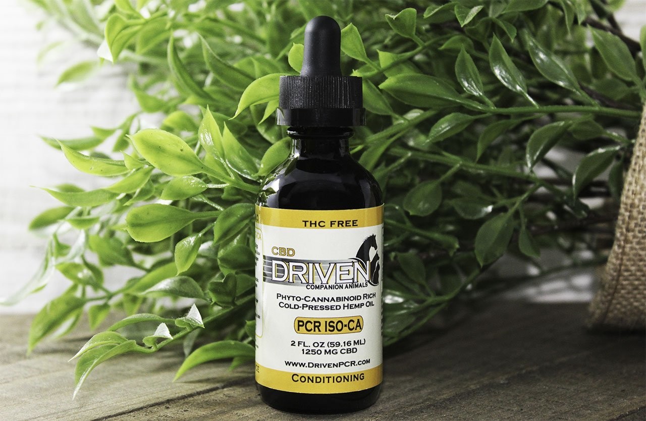 Driven PCR - High Potency CBD Oils For Equine, Human, and Companion Animal