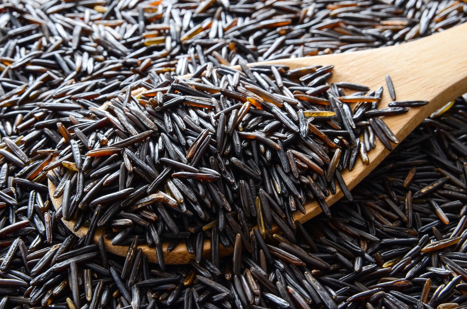 Bulk Wild Rice – Shop Our Products – Gibbs-California Wild Rice