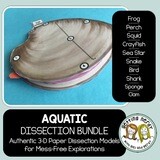 Squid - Scienstructable 3D Dissection Paper Model