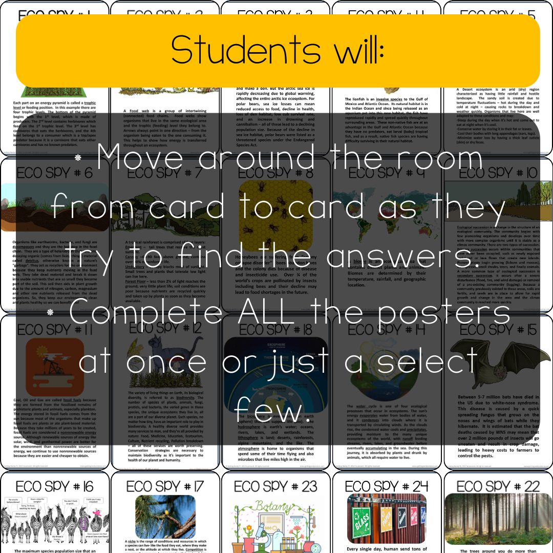 High School Ecology Scavenger Hunt