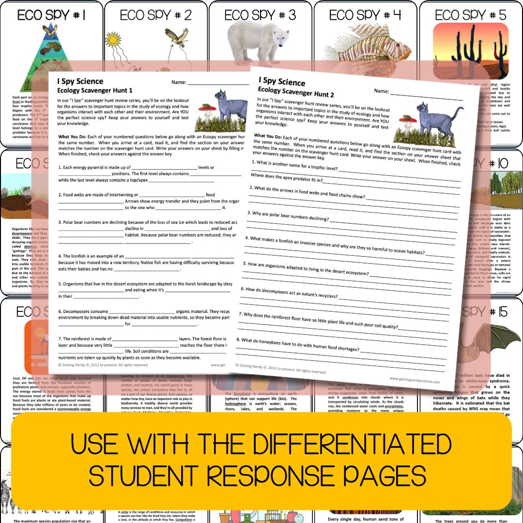 High School Ecology Scavenger Hunt