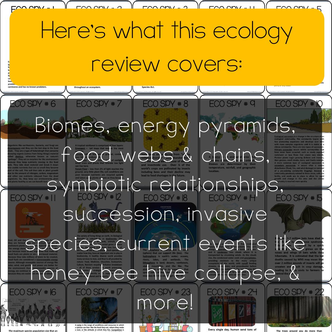 High School Ecology Scavenger Hunt