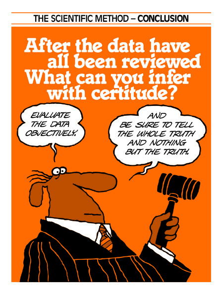 Science Conclusion Cartoon