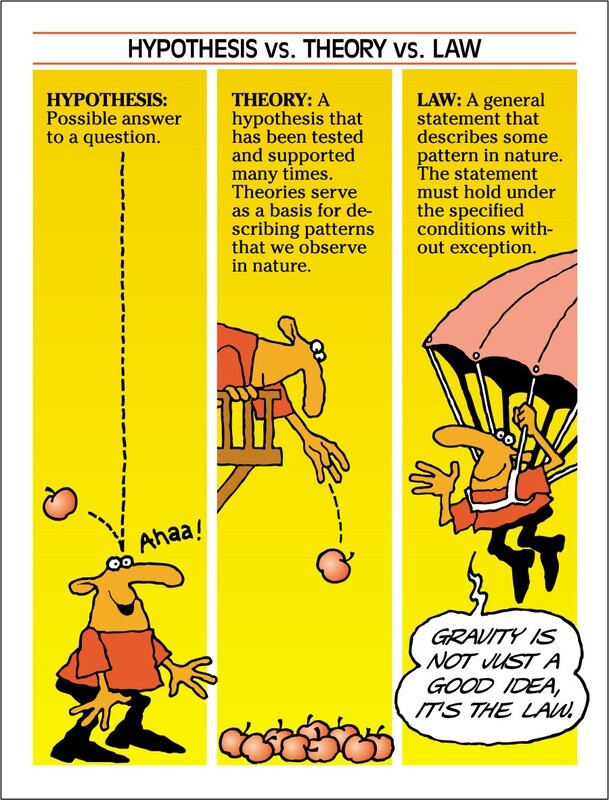 Hypothesis vs Theory vs Law