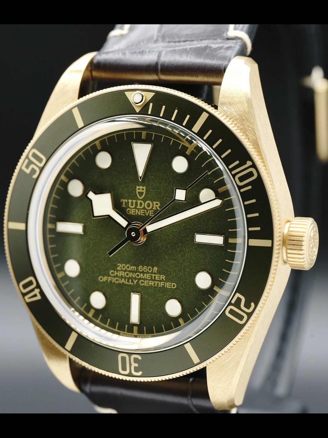 Tudor Yellow Gold Black Bay 79018V - Exquisite Timepieces