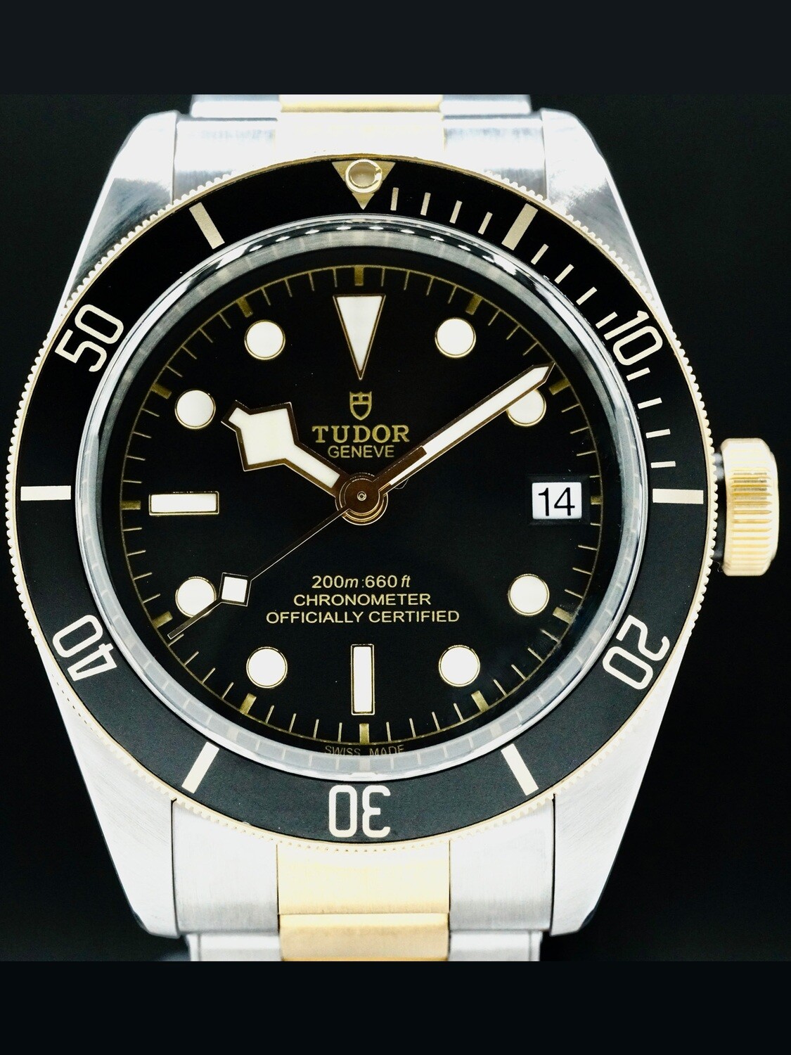 Tudor M79733N-0008 Black Bay Steel & Gold- Exquisite Timepieces