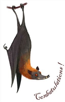 Store | General Greeting Cards