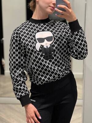 Karl Lagerfeld