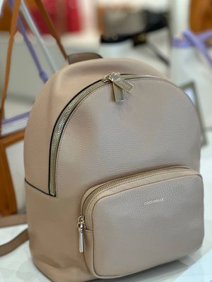 Coccinelle