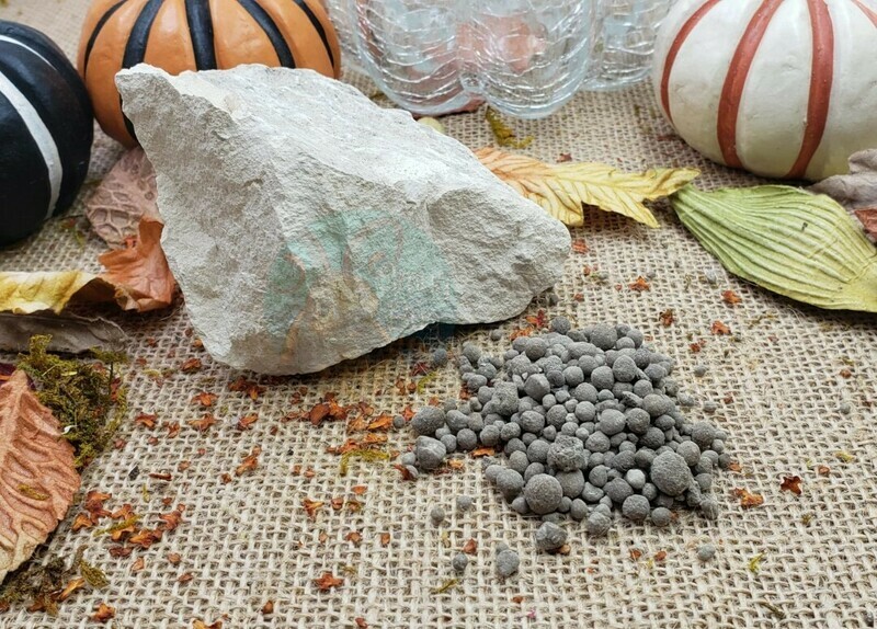 Isopod food & supplements