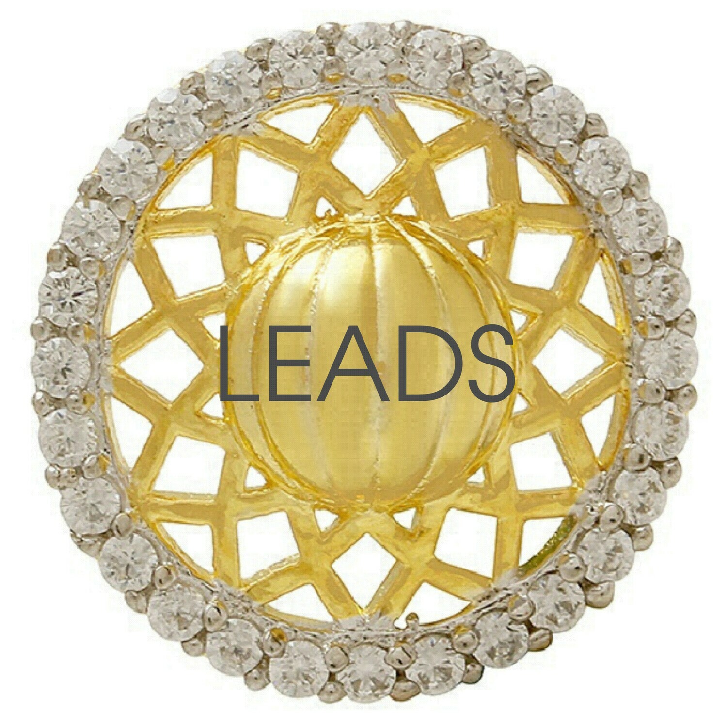 LEADS