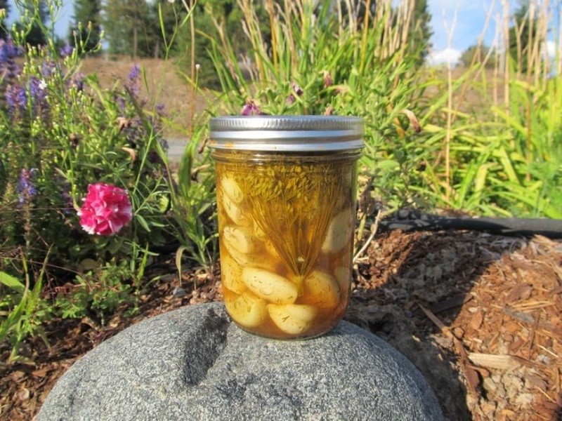 Allicins Ranch - Organic Gourmet Garlic - Online Store