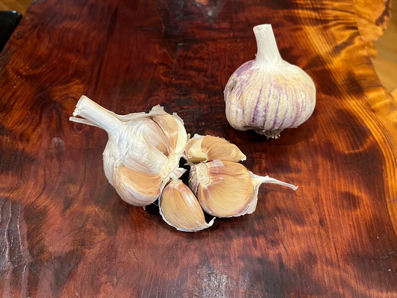 Buy Organic Gourmet Garlic - Allicins Ranch