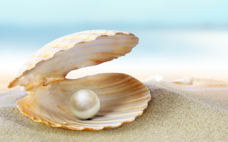 Everything about Pearl