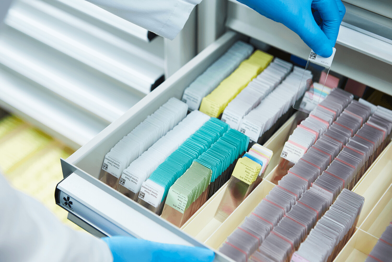 Cassette and Slide Storage