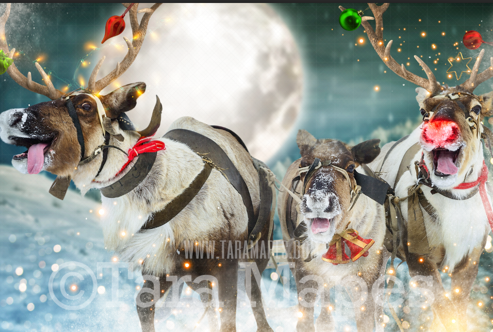 Flying Reindeer Png