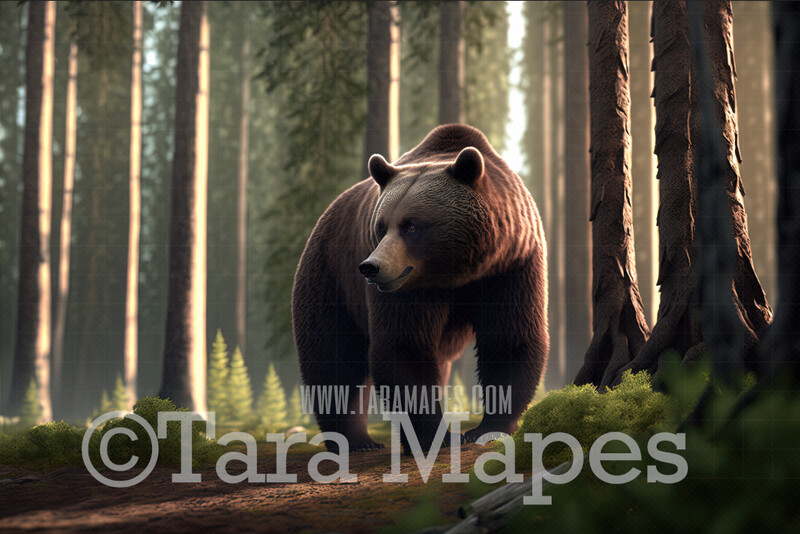 Medieval Explorer Digital Pack - 50+ Digital Backgrounds and Overlays ...