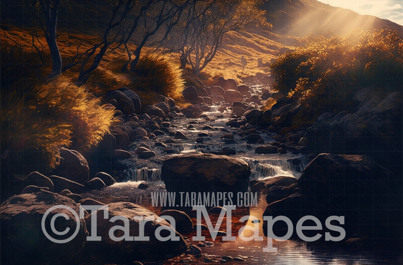 Medieval Explorer Digital Pack - 50+ Digital Backgrounds and Overlays ...