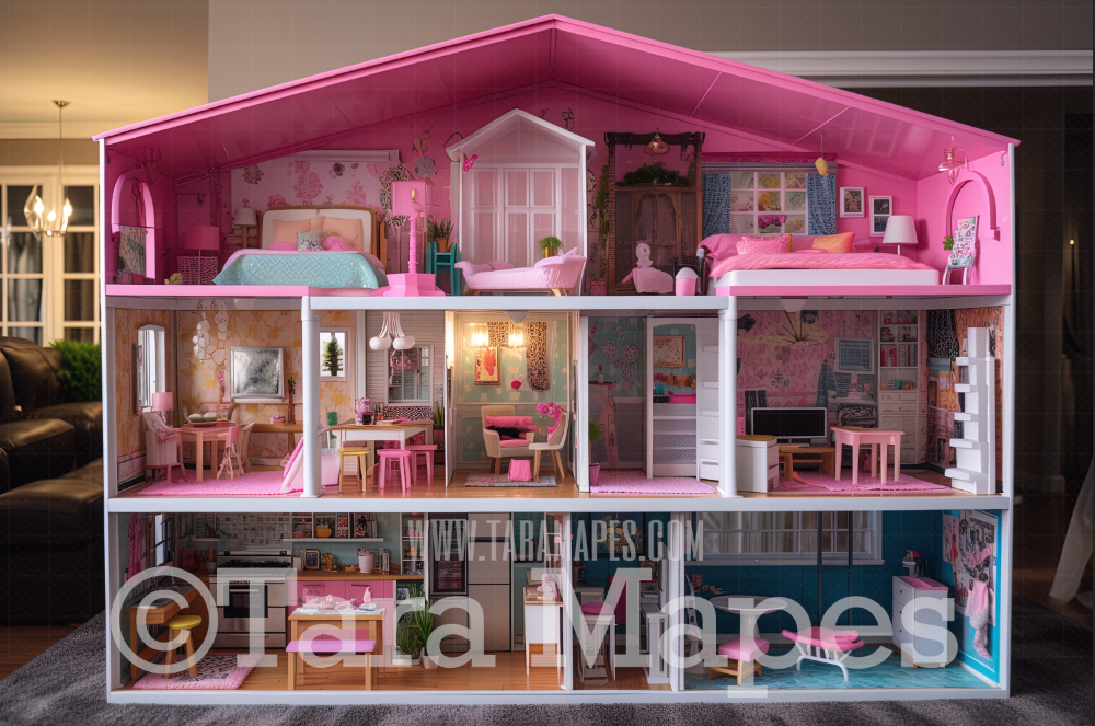 Big Barbie Doll House