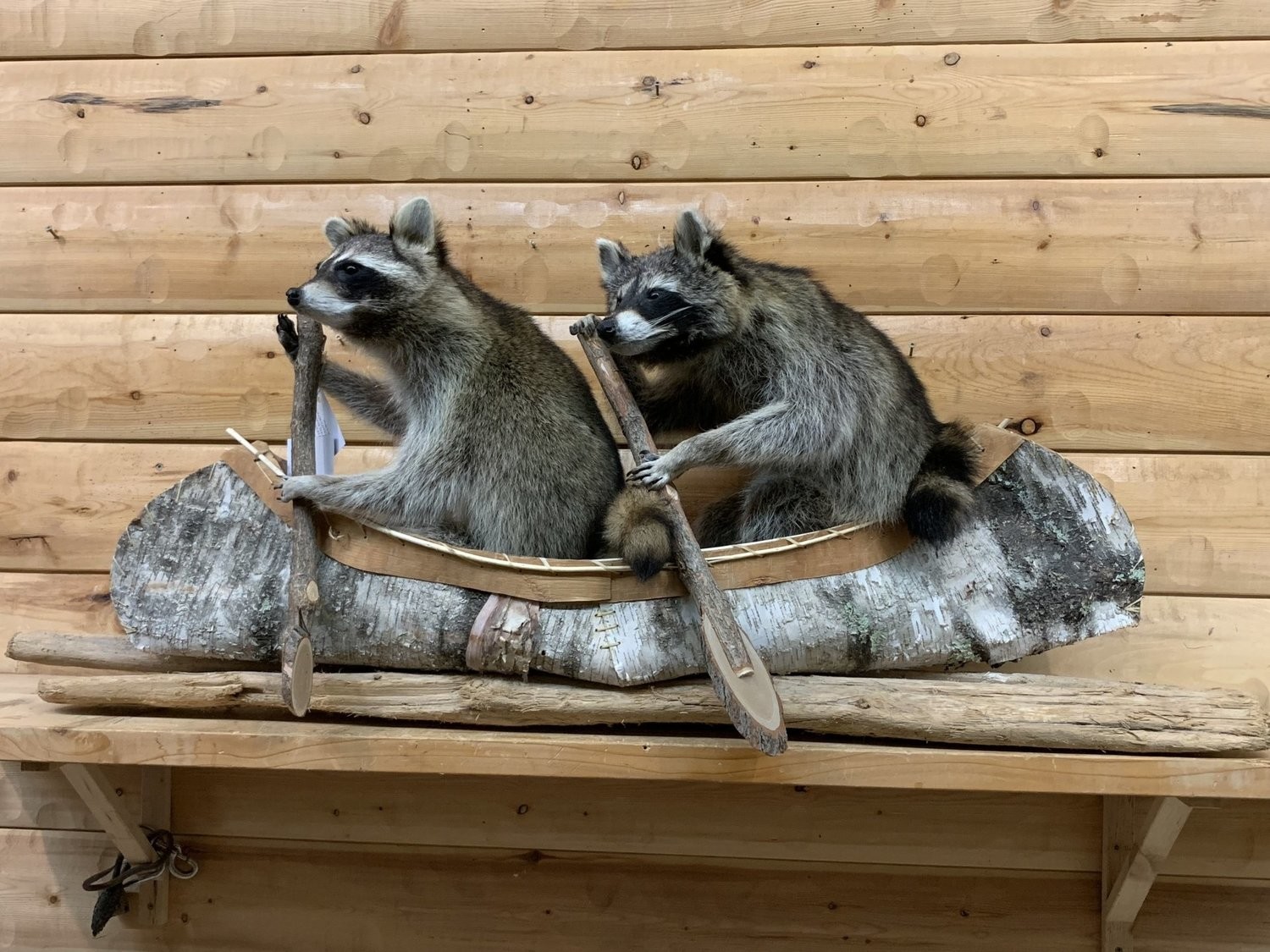 Furbearers