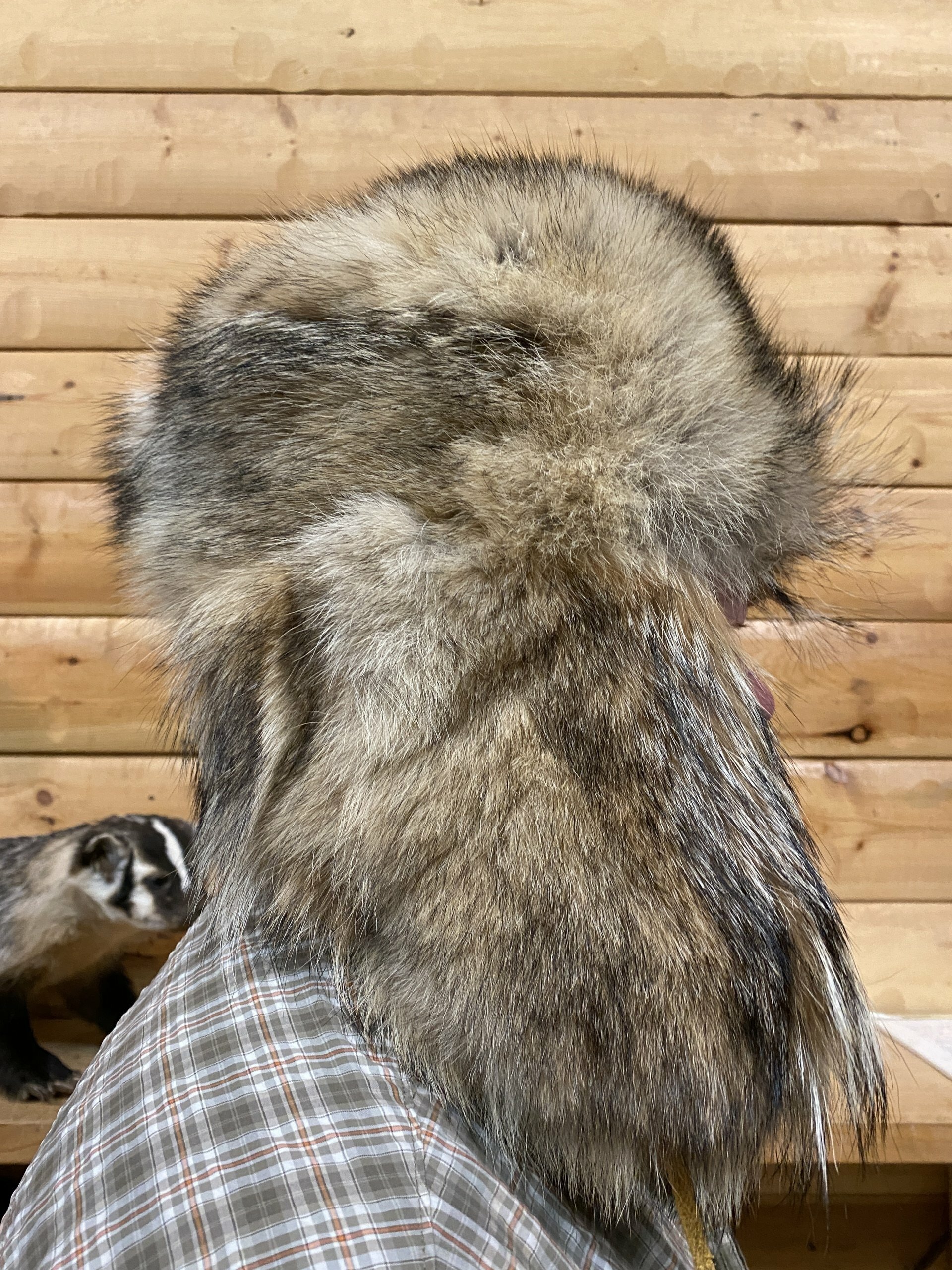 Coyote Fur Hat