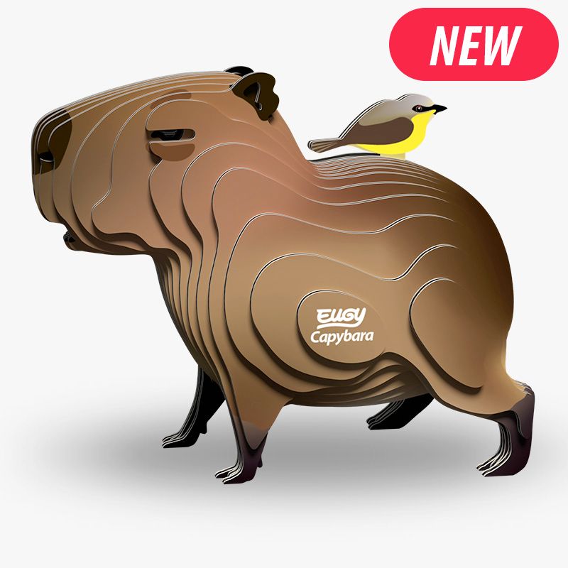 Capybara Zoo's 'Romantic' Efforts Bring Arrival Of First Capybara Baby