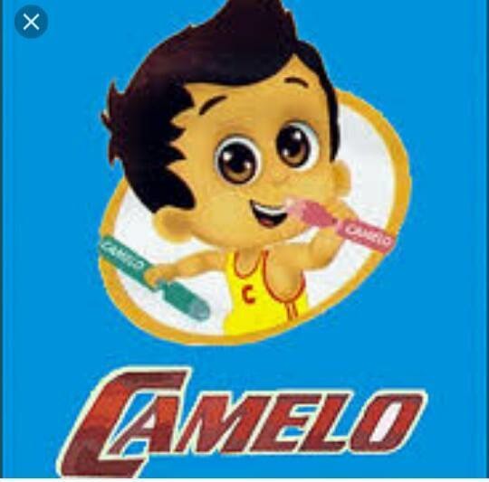 Toko Online ES CAMELO