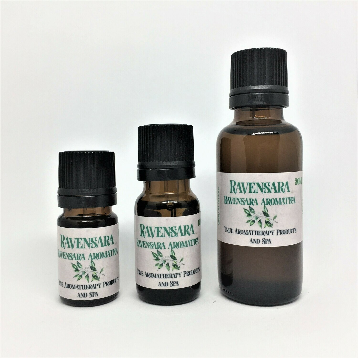 Ravensara - Our Natural Products - TAP