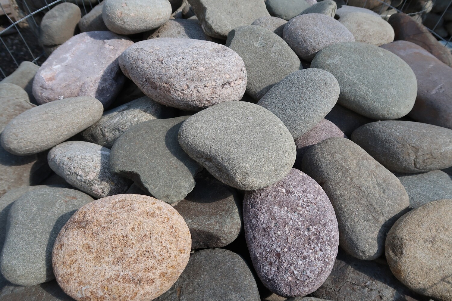 New England River Skipper Sample