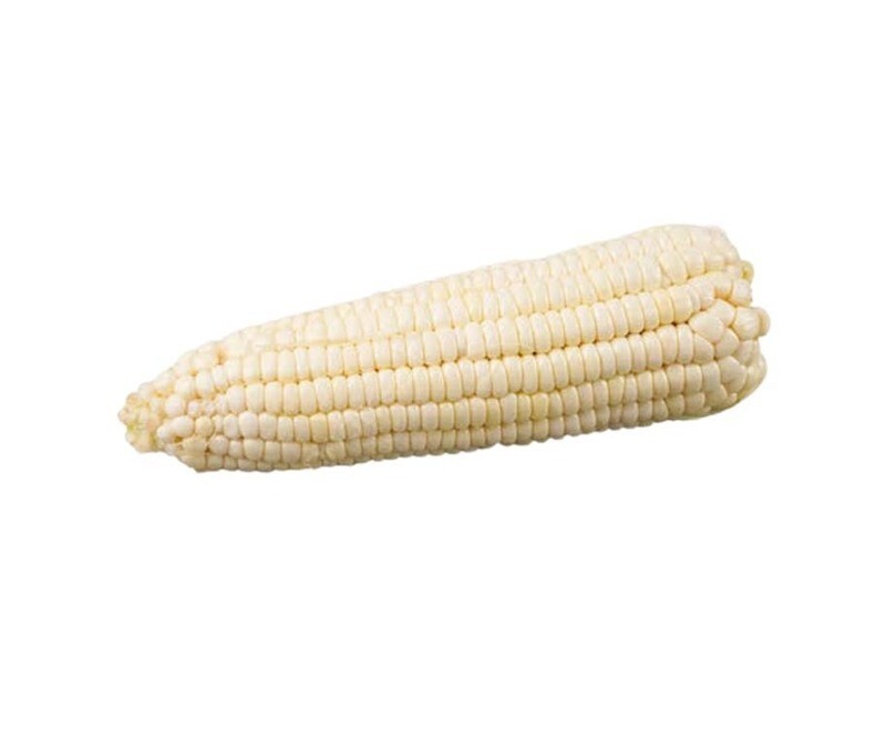 Jed Glutinous Corn