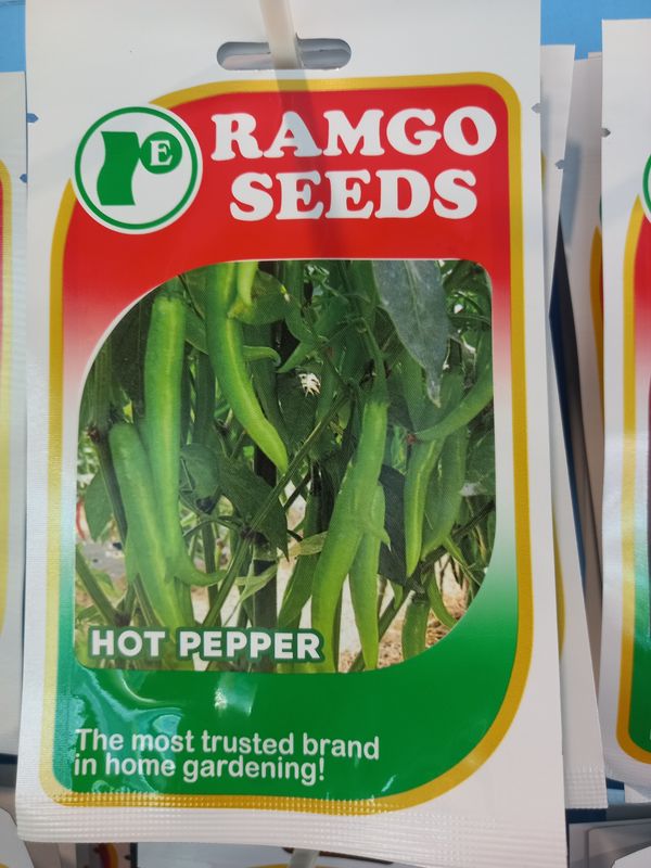 Ramgo seeds hot pepper